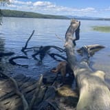 Norrie Point Trail, New York - 817 Reviews, Map | AllTrails