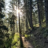 Tibble Fork Loop Trail, Utah - 836 Reviews, Map | AllTrails