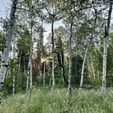 Tibble Fork Loop Trail, Utah - 836 Reviews, Map | AllTrails