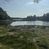 Spirit Pond Preserve, Maine - 130 Reviews, Map | AllTrails