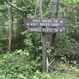 Wolf Rocks Trail, Pennsylvania - 1,452 Reviews, Map | AllTrails