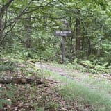 Wolf Rocks Trail, Pennsylvania - 1,452 Reviews, Map | AllTrails