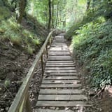 Knaresborough, Nidd Gorge, and Old Bilton Circular, North Yorkshire ...