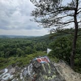 Neversink Loop Trail, Pennsylvania - 1,261 Reviews, Map | AllTrails