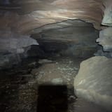 Bunkum Cave Trail, Tennessee - 247 Reviews, Map | AllTrails