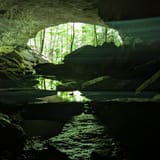 Bunkum Cave Trail, Tennessee - 247 Reviews, Map | AllTrails