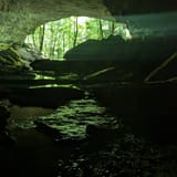 Bunkum Cave Trail, Tennessee - 247 Reviews, Map | AllTrails