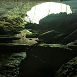 Bunkum Cave Trail, Tennessee - 247 Reviews, Map | AllTrails