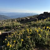 Mount Flora Trail, Colorado - 4,335 Reviews, Map | AllTrails