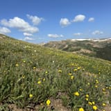 Mount Flora Trail, Colorado - 4,335 Reviews, Map | AllTrails