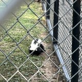 Sequoyah State Park Paved Trail, Oklahoma - 198 Reviews, Map | AllTrails