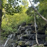 Yellow Branch Falls Trail, South Carolina - 2,837 Reviews, Map | AllTrails