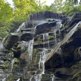 Yellow Branch Falls Trail, South Carolina - 2,837 Reviews, Map | AllTrails