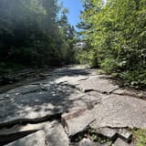 Arethusa Falls via Bemis Brook and Arethusa Falls Trails, New Hampshire ...
