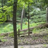 Saunders Springs Nature Preserve Loop, Kentucky - 400 Reviews, Map ...