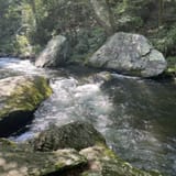 Prettyboy Reservoir Dam, Maryland - 742 Reviews, Map | AllTrails