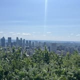Mount Royal Park Loop, Quebec, Canada - 2,073 Reviews, Map | AllTrails