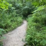 John Rock Trail Loop, North Carolina - 2,602 Reviews, Map | AllTrails