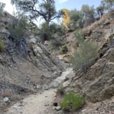 Warren Peak via Black Rock Trail and Panorama Loop, California - 1,096 ...