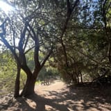 El Dorado Park Nature Trail, California - 1,725 Reviews, Map | AllTrails