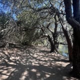 El Dorado Park Nature Trail, California - 1,725 Reviews, Map | AllTrails