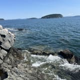 Compass Harbor Trail, Maine - 702 Reviews, Map | AllTrails