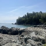 Compass Harbor Trail, Maine - 702 Reviews, Map | AllTrails
