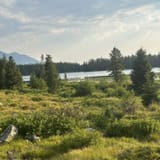String Lake Trail, Wyoming - 2,355 Reviews, Map | AllTrails
