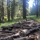 Schultz Creek Trail, Arizona - 449 Reviews, Map | AllTrails