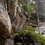 Turkey Run Outer Loop, Indiana - 602 Reviews, Map | AllTrails