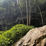 Turkey Run Outer Loop, Indiana - 634 Reviews, Map | AllTrails