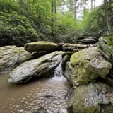 Kelly's Run Loop Trail, Pennsylvania - 3,785 Reviews, Map | AllTrails
