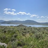 Elk Run Trail, Colorado - 71 Reviews, Map | AllTrails