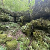 Greer Spring Trail, Missouri - 338 Reviews, Map | AllTrails