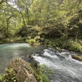 Greer Spring Trail, Missouri - 338 Reviews, Map | AllTrails