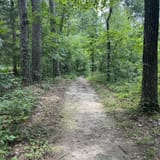 Greer Spring Trail, Missouri - 338 Reviews, Map | AllTrails