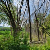 Red Cedar State Trail, Wisconsin - 215 Reviews, Map | AllTrails