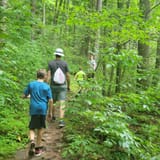 Jacoby Falls Trail, Pennsylvania - 676 Reviews, Map | AllTrails