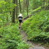 Jacoby Falls Trail, Pennsylvania - 651 Reviews, Map | AllTrails