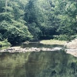 Pennypack Trail, Pennsylvania - 714 Reviews, Map | AllTrails