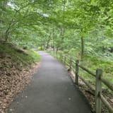 Pennypack Trail, Pennsylvania - 714 Reviews, Map | AllTrails