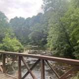 Pennypack Trail, Pennsylvania - 714 Reviews, Map | AllTrails