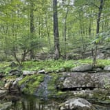 Reeves Brook Loop Trail, New York - 4,852 Reviews, Map | AllTrails