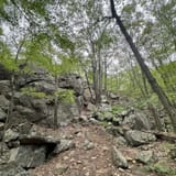 Reeves Brook Loop Trail, New York - 4,852 Reviews, Map | AllTrails