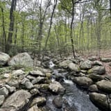 Reeves Brook Loop Trail, New York - 4,817 Reviews, Map | AllTrails