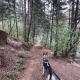 Seven Bridges Trail, Colorado - 8,147 Reviews, Map | AllTrails