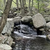 Reeves Brook Loop Trail, New York - 4,852 Reviews, Map | AllTrails