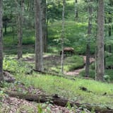 White Bison Loop, Missouri - 2,574 Reviews, Map | AllTrails