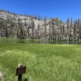 Cold Boiling Lake Trail, California - 362 Reviews, Map | AllTrails