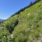 Hidden Lake Lookout, Washington - 2,049 Reviews, Map | AllTrails